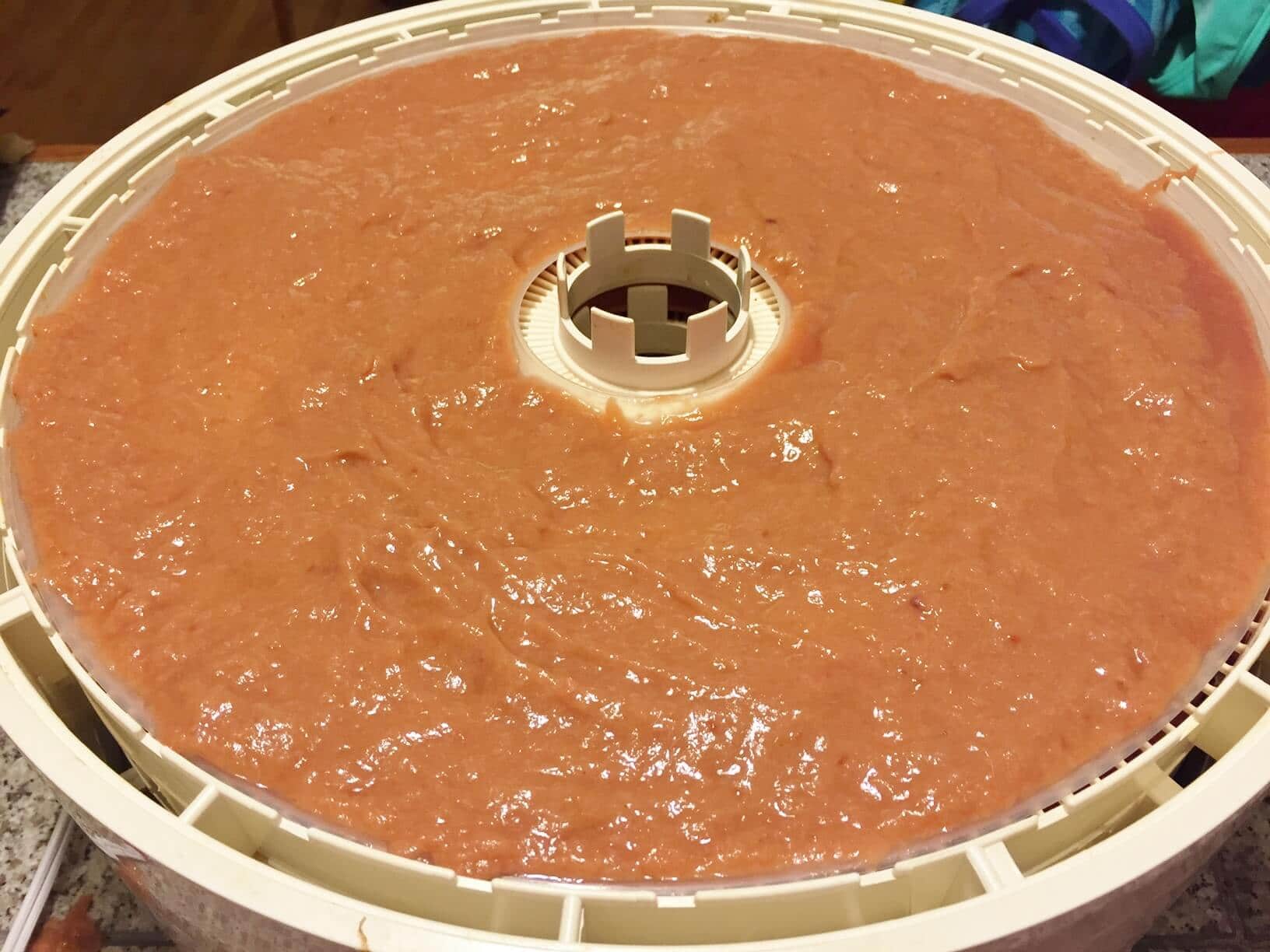 Dehydrating Food 101 ~ Preservation for Novices - HealthyGreenSavvy