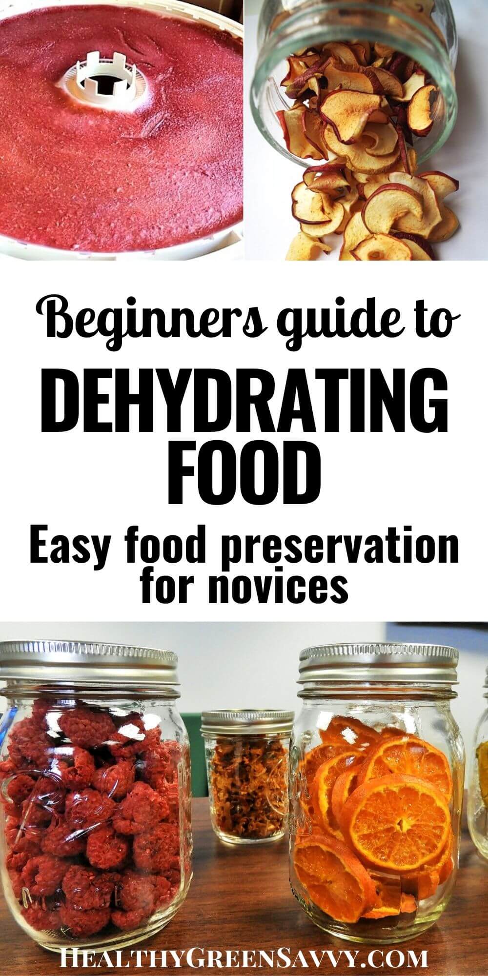 Dehydrating Food 101 ~ Preservation for Novices - HealthyGreenSavvy