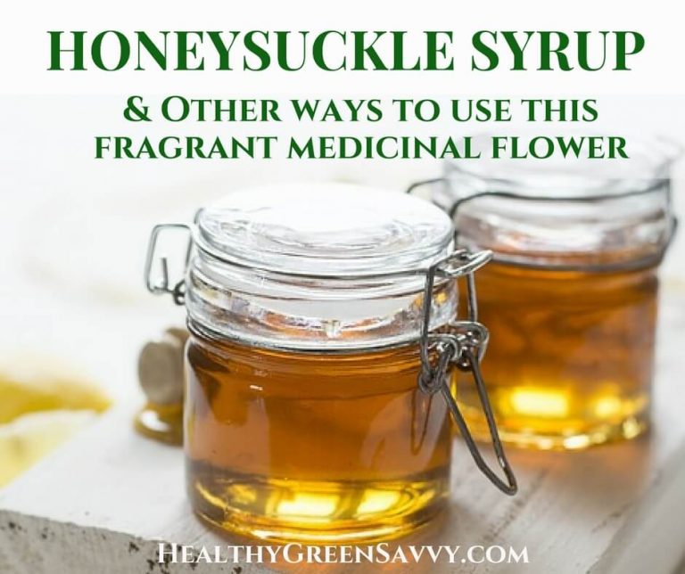 Best Honeysuckle Recipes {+ Honeysuckle Uses & Benefits}