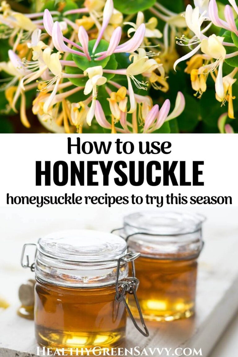Best Honeysuckle Recipes {+ Honeysuckle Uses & Benefits}