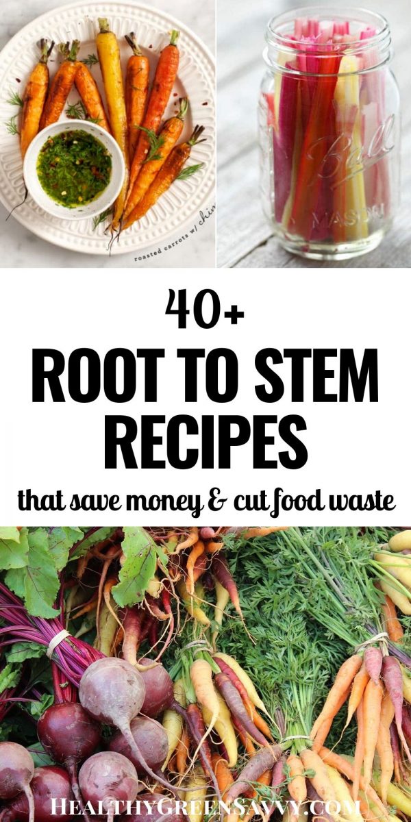 40+ Awesome Root to Stem Recipes to Cut Food Waste
