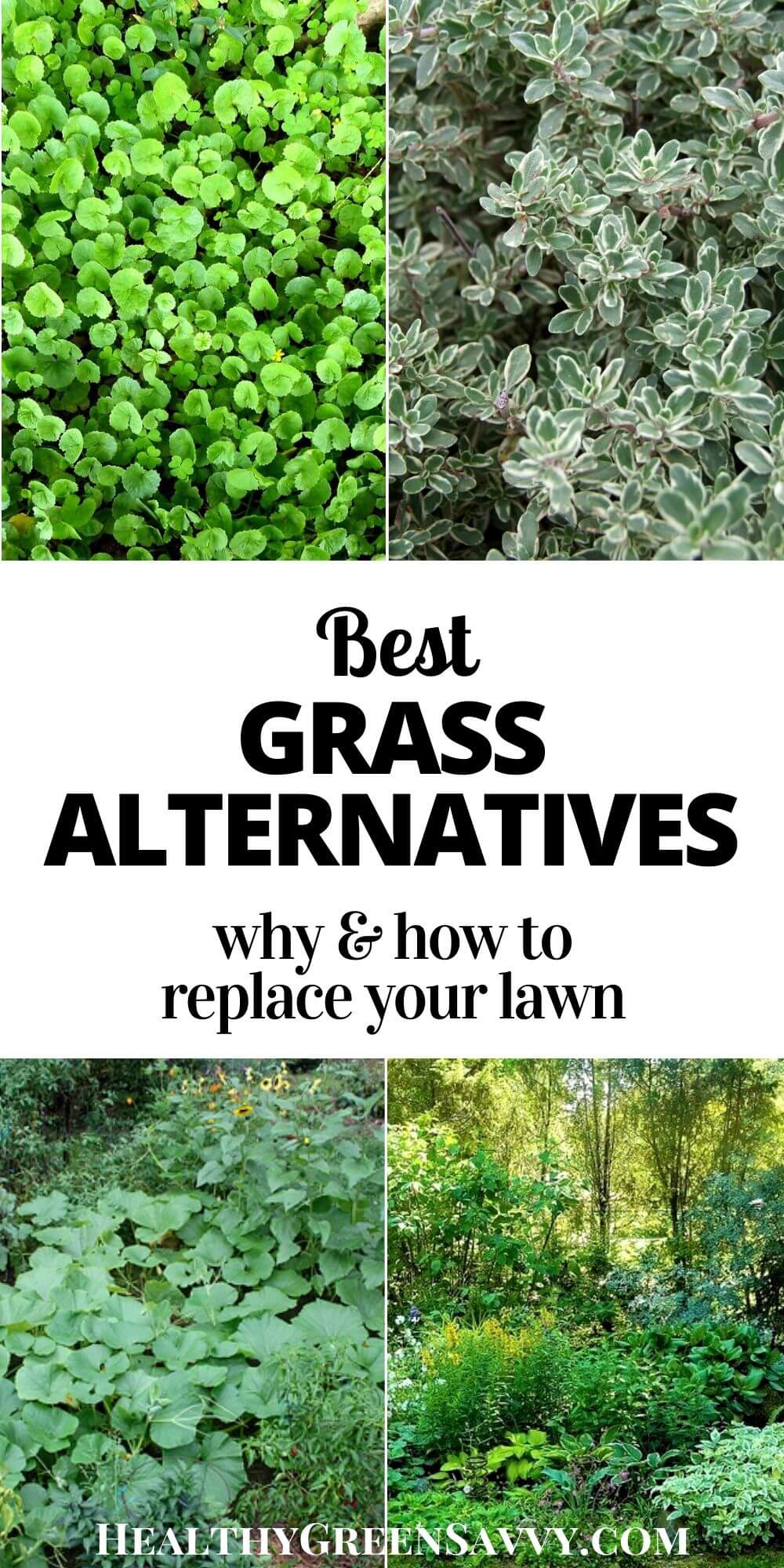 Grass Alternatives: Why & How to Replace Your Lawn