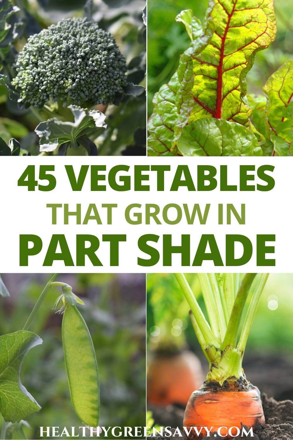 45 Vegetables that Grow in Shade {Shade Tolerant Vegetables}