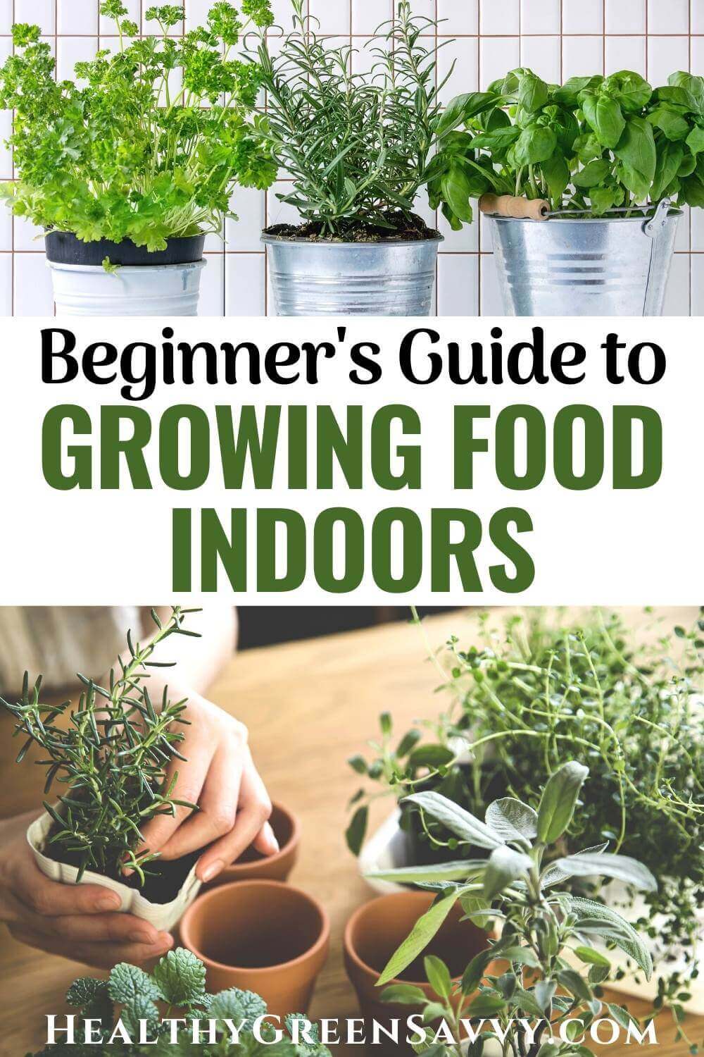How to Grow Vegetables Indoors this Season - HealthyGreenSavvy