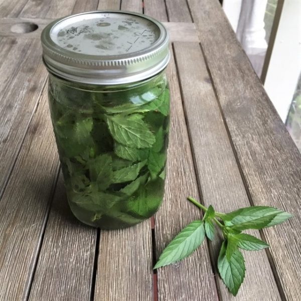 How to Make Sun Tea with Herbs From Your Garden - HealthyGreenSavvy