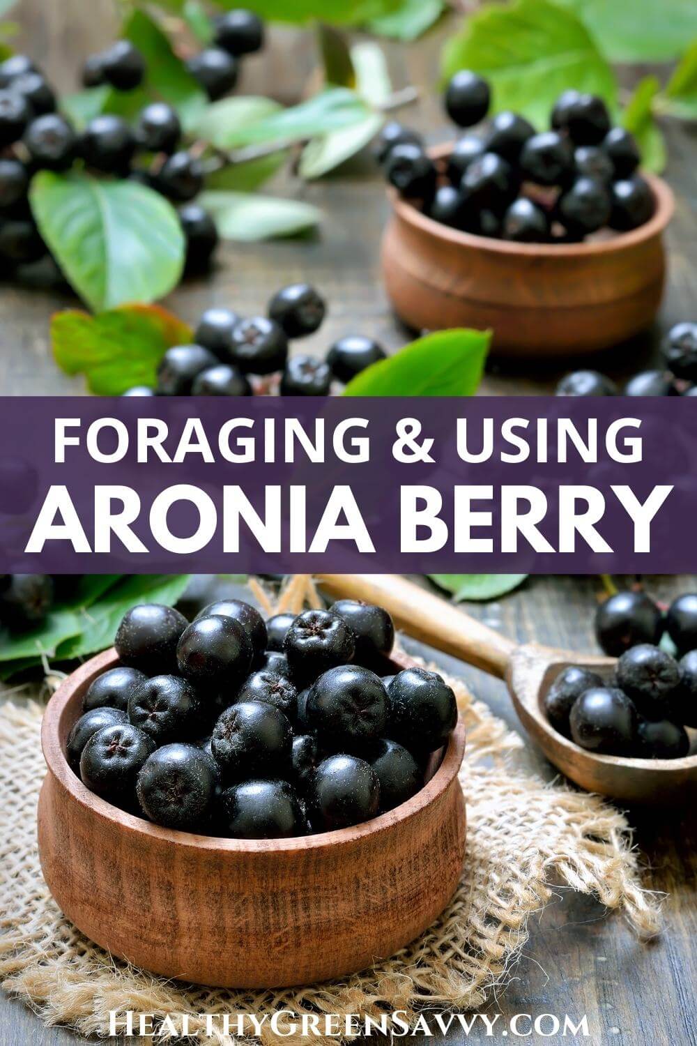 Black Chokeberry, Aronia Melanocarpa~ 8 Benefits & Best Uses
