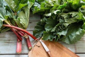 Are Rhubarb Leaves Poisonous? (+ 6 Uses for Rhubarb Leaves)