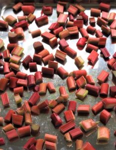 Freezing Rhubarb {How to Freeze Rhubarb Tutorial}