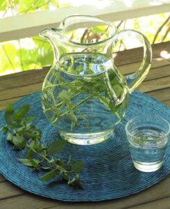Easy Mint Water Recipe {How to Make Mint Water 2 Ways}
