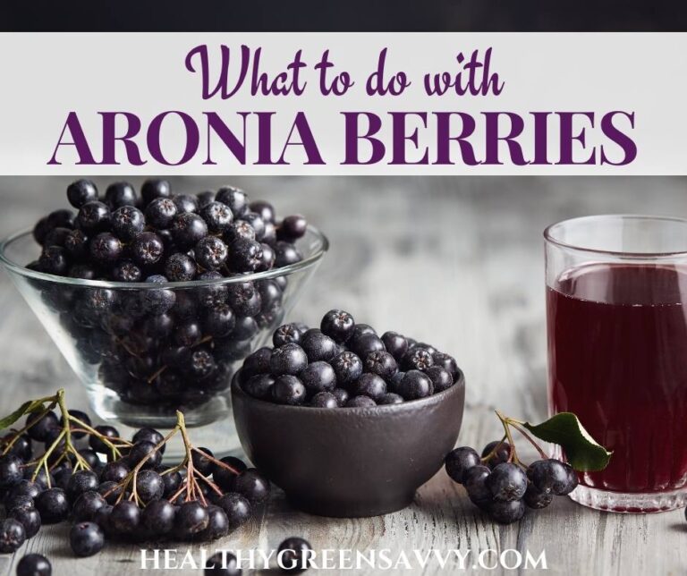 15 Best Aronia Berry Recipes {Tasty Chokeberry Recipes!}