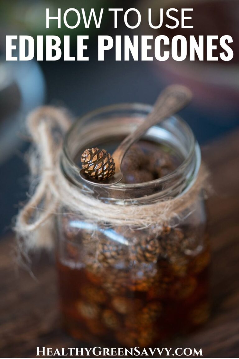 Can You Eat Pine Cones? (5 Best Uses for Edible Pine Cones)