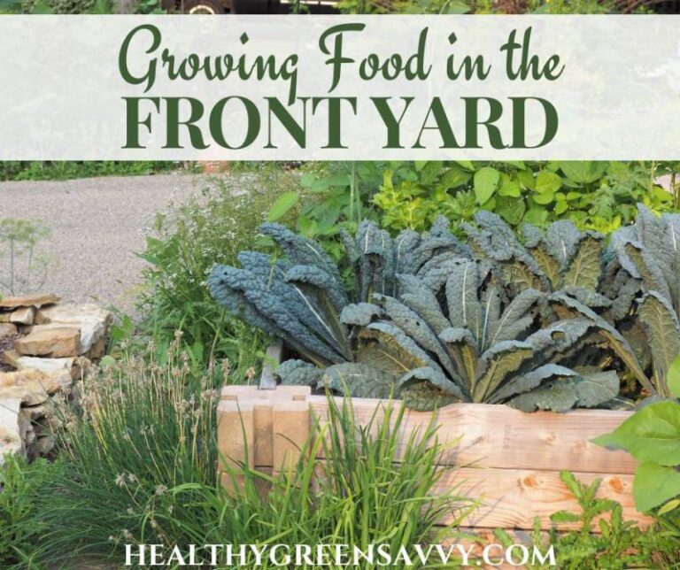 Grow a Front Yard Vegetable Garden! (Inspiring Ideas & Tips)
