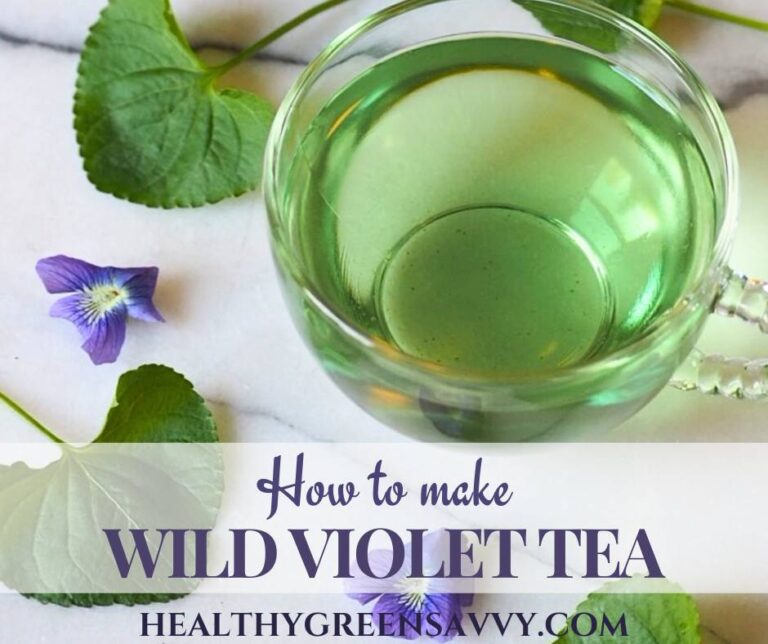Wild Violet Tea Recipe (2 Ways to Make Violet Tea)