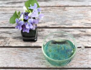 25 Wild Violet Recipes (Tasty & Medicinal Uses for Violets)