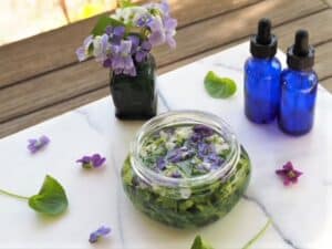 25 Wild Violet Recipes (Tasty & Medicinal Uses for Violets)