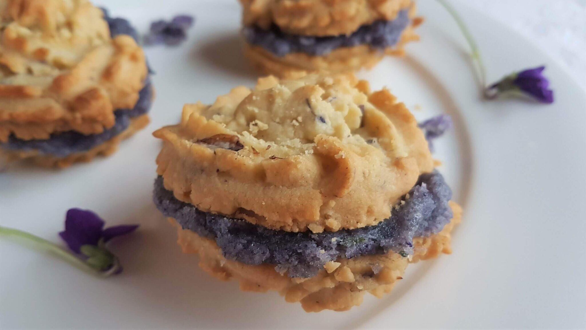 25 Wild Violet Recipes (Tasty & Medicinal Uses for Violets)