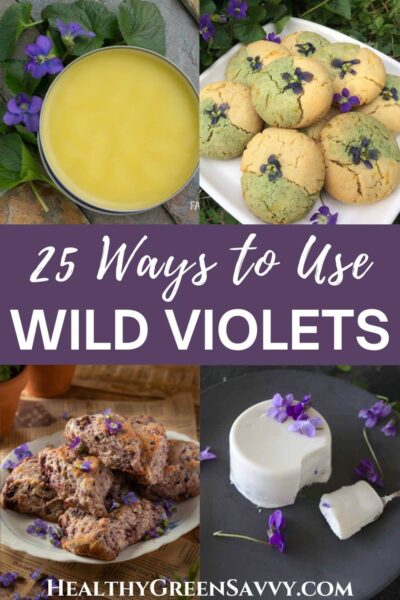 25 Wild Violet Recipes (Tasty & Medicinal Uses for Violets)