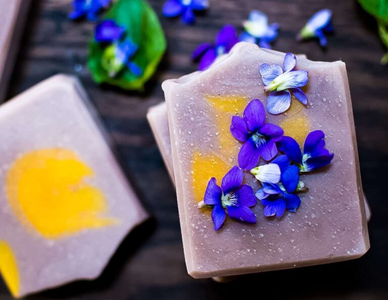 25 Wild Violet Recipes (Tasty & Medicinal Uses for Violets)