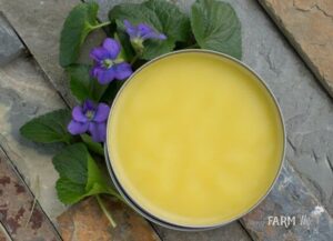 25 Wild Violet Recipes (Tasty & Medicinal Uses for Violets)