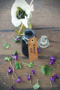 25 Wild Violet Recipes (Tasty & Medicinal Uses for Violets)