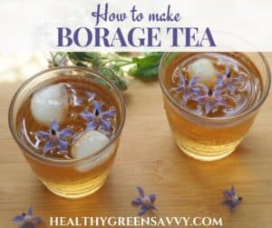 How to Make Borage Tea 3 Ways (Refreshing Borage Tea Recipe)