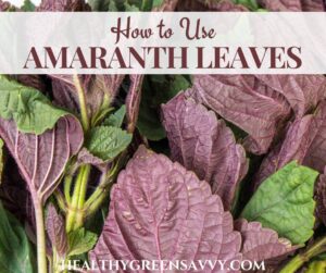15 Cool Amaranth Leaves Recipes (Edible Amaranth Greens)