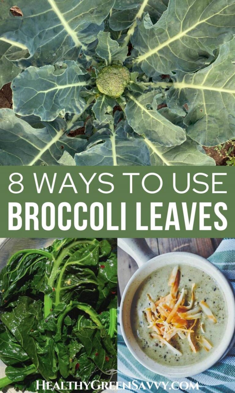 How to Eat Broccoli Leaves + 8 Broccoli Greens Recipes