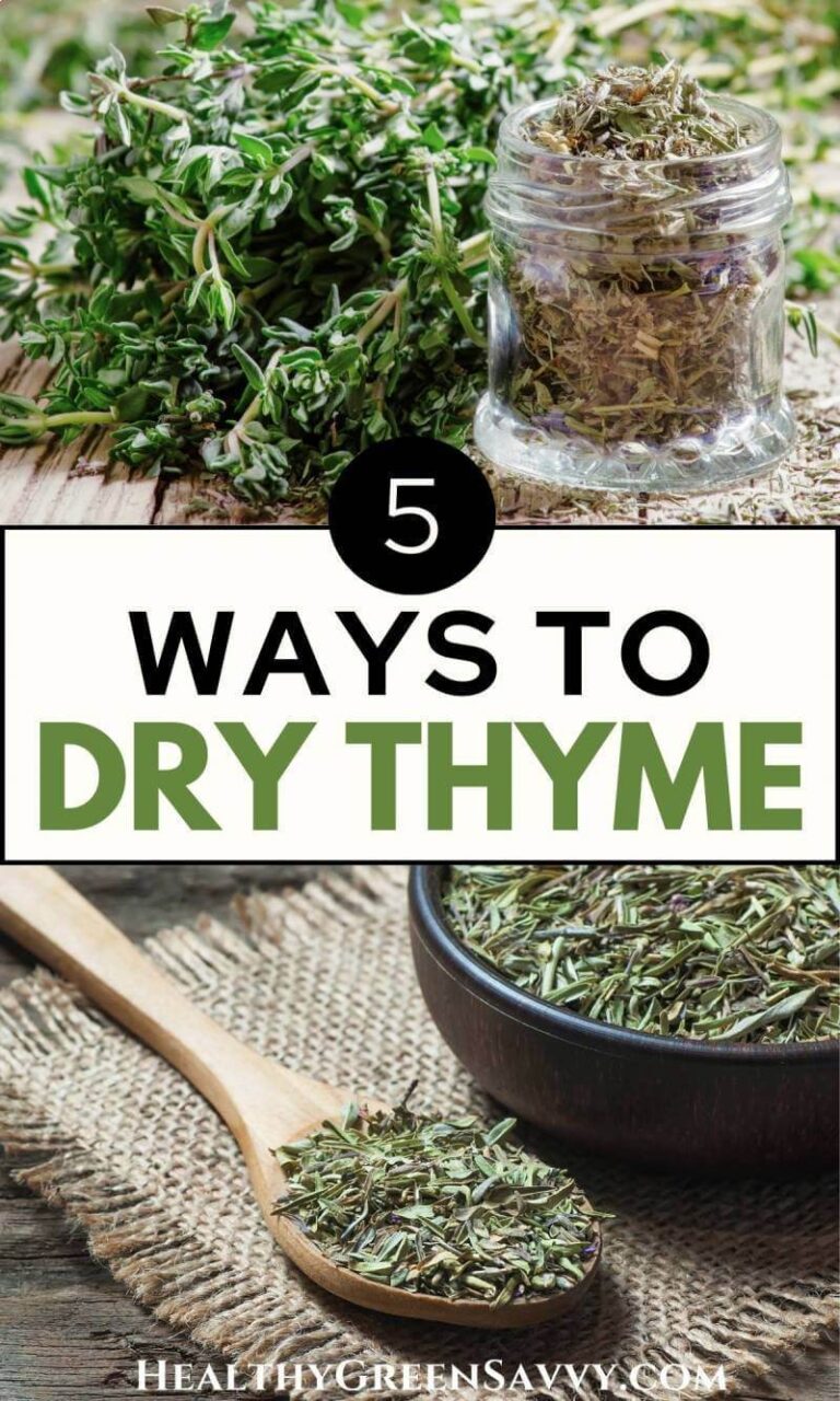 How to Dry Thyme 5 Easy Ways - HealthyGreenSavvy