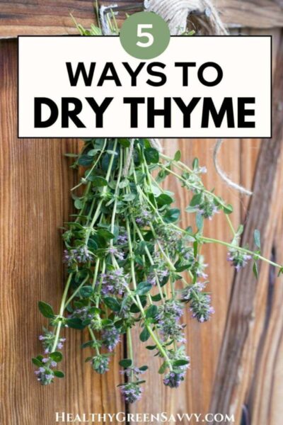 How to Dry Thyme 5 Easy Ways - HealthyGreenSavvy