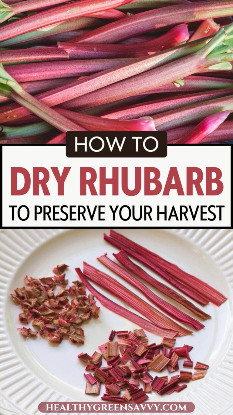 Easy Dehydrated Rhubarb {How to Dry Rhubarb 2 Ways}