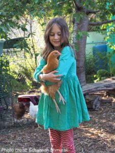 Permaculture Design in a Suburban Landscape