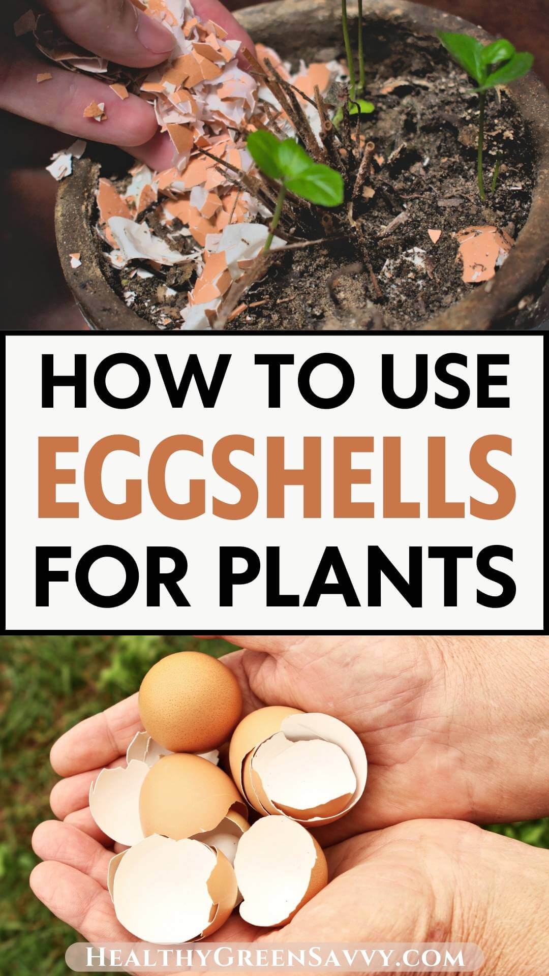How to Use Eggshells for Plants & Garden Soil