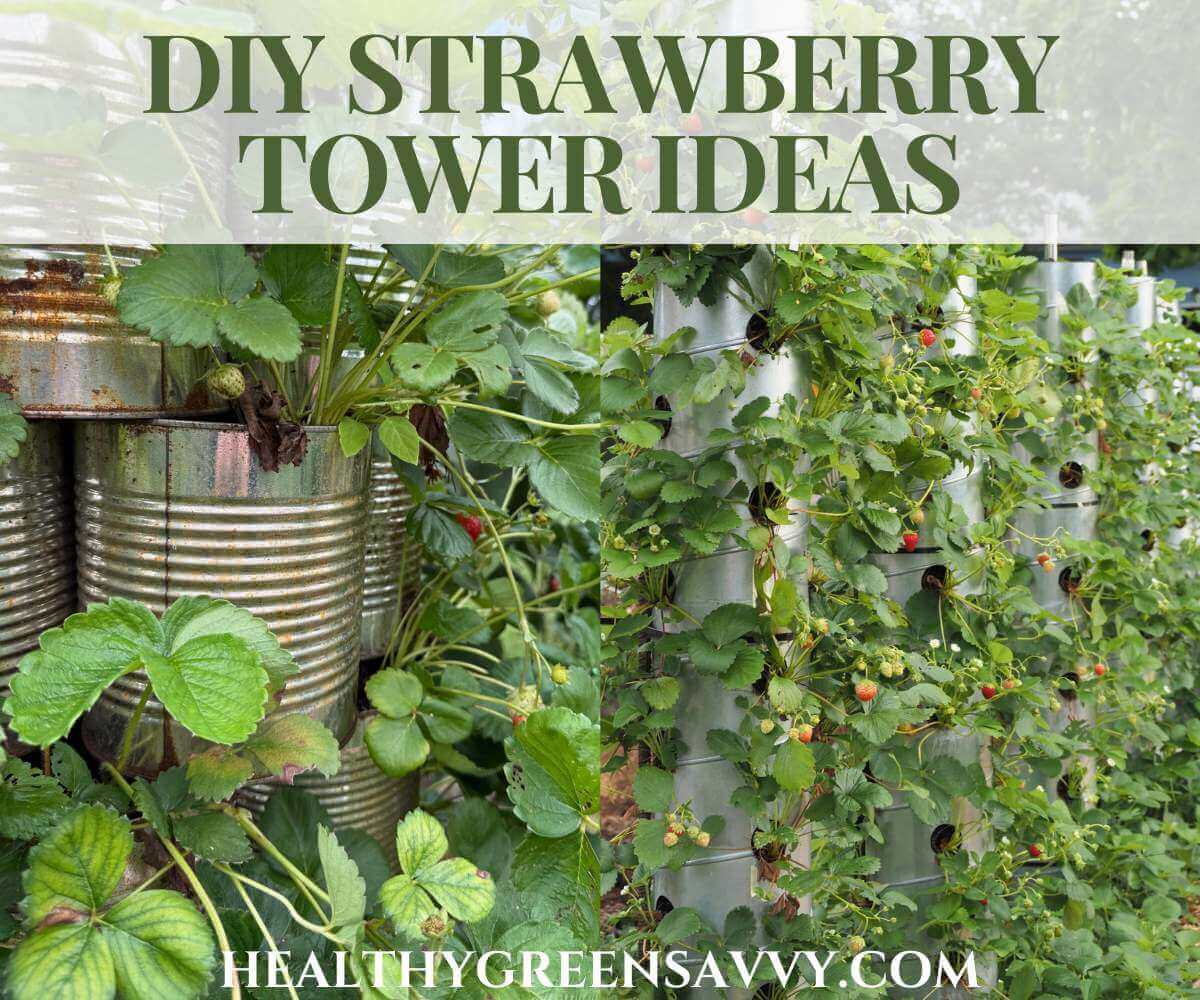 DIY Strawberry Tower Planter Ideas to Grow Strawberries Vertically!
